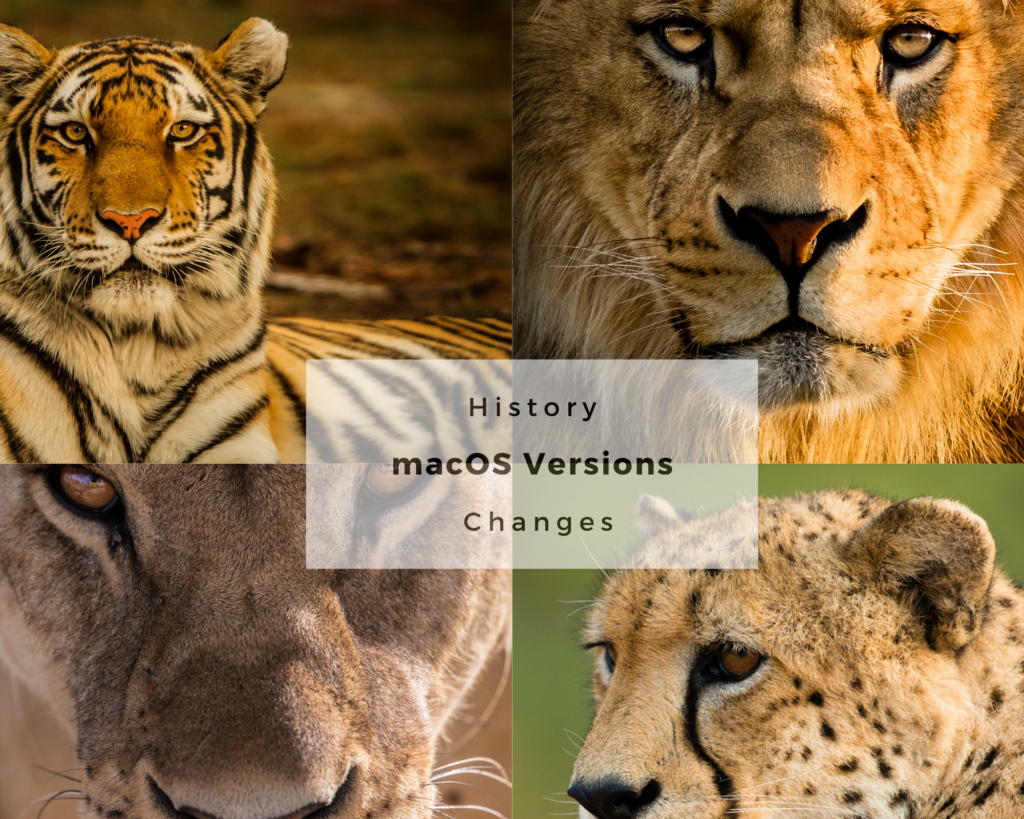 macOS Versions – History, Complete List, and Upgrading - Tech News Center